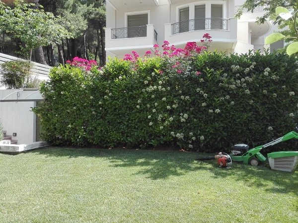 ΣΥΝΤΗΡΗΣΗ ΚΗΠΩΝ Garden-desing.gr | Κατασκευή κήπου | Συντήρηση κήπου ...