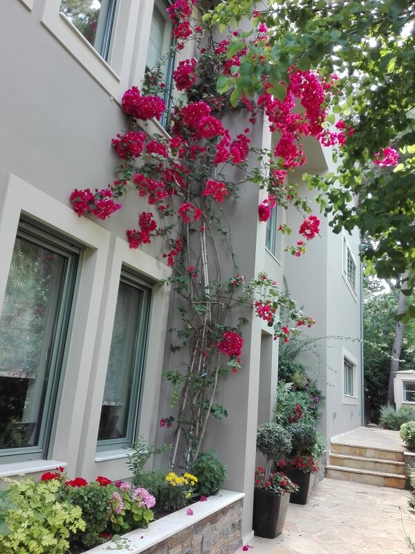 ΣΥΝΤΗΡΗΣΗ ΚΗΠΩΝ Garden-desing.gr | Κατασκευή κήπου | Συντήρηση κήπου ...