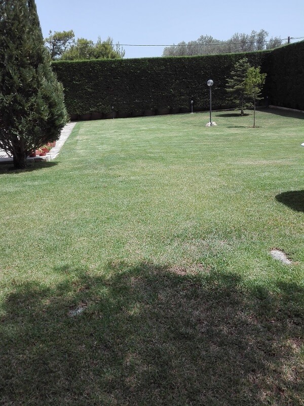 ΣΥΝΤΗΡΗΣΗ ΚΗΠΩΝ Garden-desing.gr | Κατασκευή κήπου | Συντήρηση κήπου ...