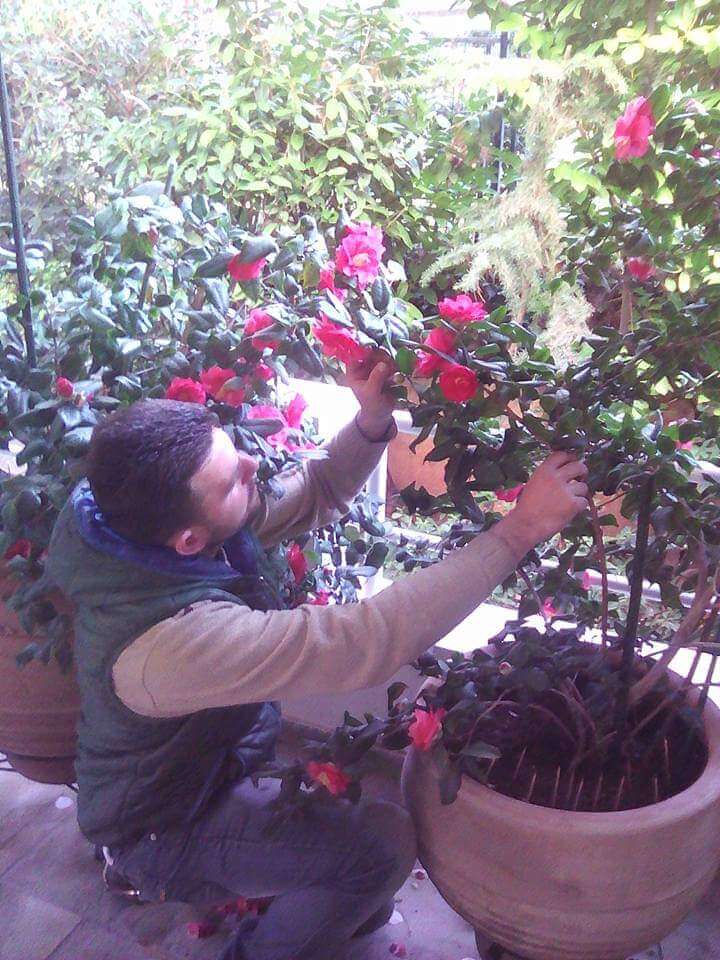 ΣΥΝΤΗΡΗΣΗ ΚΗΠΩΝ Garden-desing.gr | Κατασκευή κήπου | Συντήρηση κήπου ...