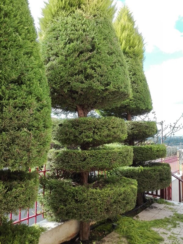 ΣΥΝΤΗΡΗΣΗ ΚΗΠΩΝ Garden-desing.gr | Κατασκευή κήπου | Συντήρηση κήπου ...